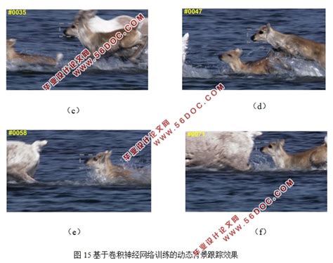 基于卷积神经网络的目标追踪算法研究 论文 56设计资料网