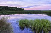 Free Picture Panorama Bay Marsh Land
