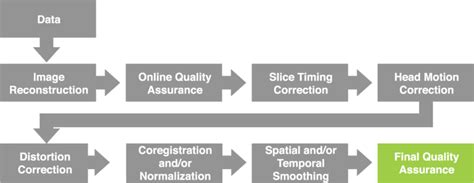 8 Schematic Framework For Preprocessing Of Fmri Data With An Download Scientific Diagram