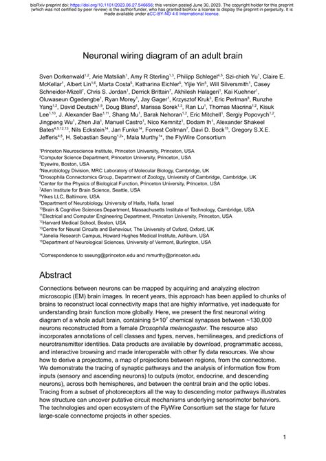 PDF Neuronal Wiring Diagram Of An Adult Brain