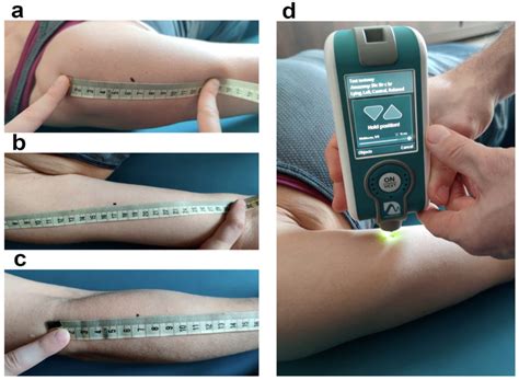 Relationship Between Viscoelastic Properties Of Tissues And