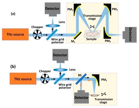 Applied Sciences Free Full Text Continuous Wave Thz Imaging For Biomedical Samples