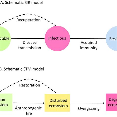 Pdf The Epidemiological Framework For Biological Invasions Efbi An Interdisciplinary Pdf The Epidemiological Framework For Biological Invasions Efbi An Interdisciplinary