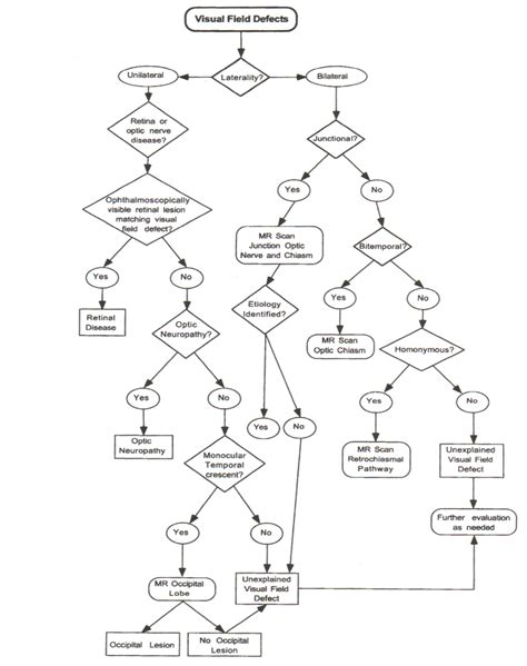 Neuro Ophthalmology Illustrated Chapter 3 Visual Fields — Neuro
