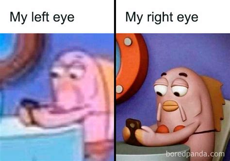 74 Funny Memes That Hit You Right In The Too Real” Part Of The Brain
