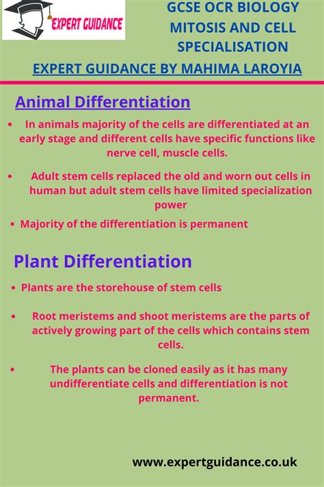 Gcse Ocr Biology Coordination And Control The Nervous System Complete Revision Summary Notes