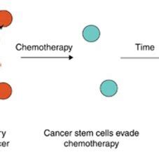 The CSC Hypothesis And Disease Recurrence CSCs Are Responsible For Download Scientific Diagram
