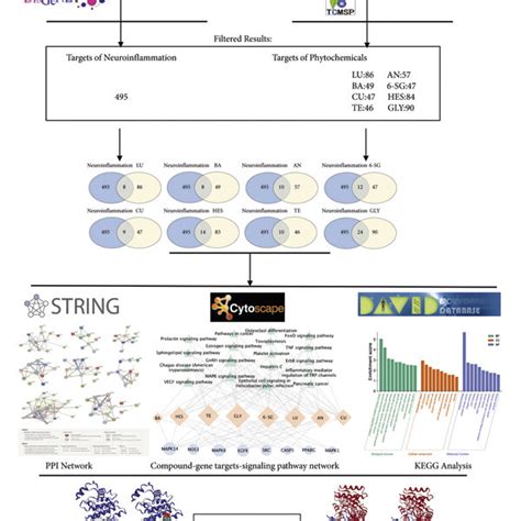 Molecular Docking Analysis Of The Eight Phytochemical Candidates With
