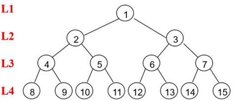 데이터 구조 17차시 트리tree 트리 개념과 이진 트리binary Tree