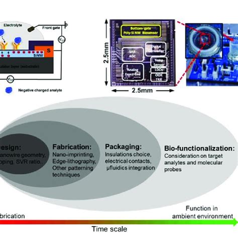 Pdf Cmos Compatible Silicon Nanowire Field Effect Transistor