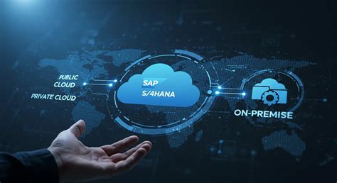 Sap S4hana Deployment Model Public Private And On Premise Perfectwin