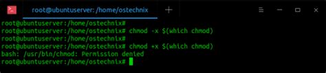 Restore Executable Permission To Chmod Command In Linux Ostechnix