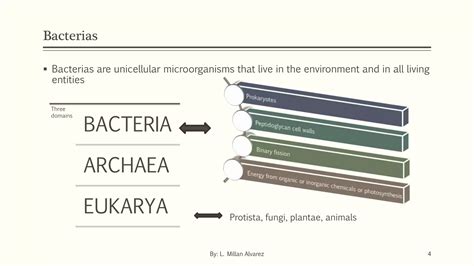 Bacteriology Introduction Online Tutoring Microbiology Ppt