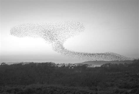 Fostering A Culture Of Belonging At Work The Hum