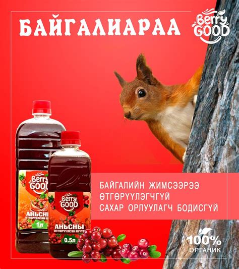 Berry Good Аньсны өтгөрүүлсэн шүүс 1л Gashuun Bulag Llc