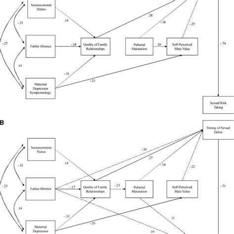 Theoretical Model Dashed Lines Represent Predicted Sex Differences In Download Scientific