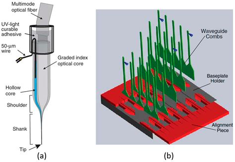 Ijms Free Full Text Recent Progress Of Development Of Optogenetic Implantable Neural Probes