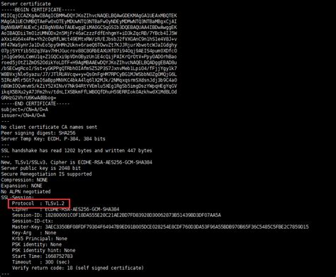Tls版本及ciphersuites确认及设置 知行软件edi