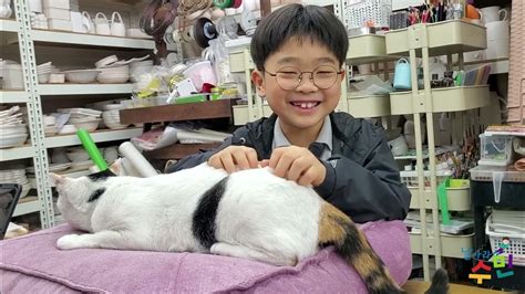 도자기공방 고양이 이쁘니 youtube