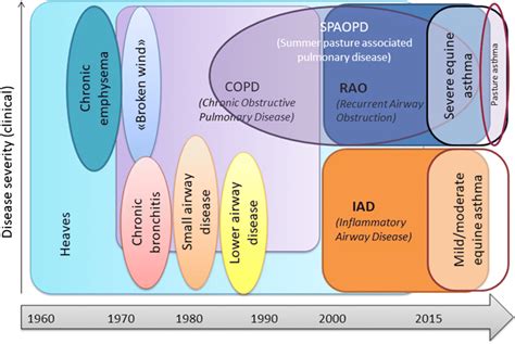 Terminology Used In The Scientific Literature To Define The Asthma Like