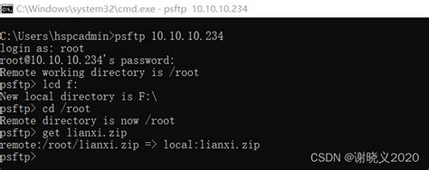 使用psftp在windows与linux之间传输文件 csdn博客