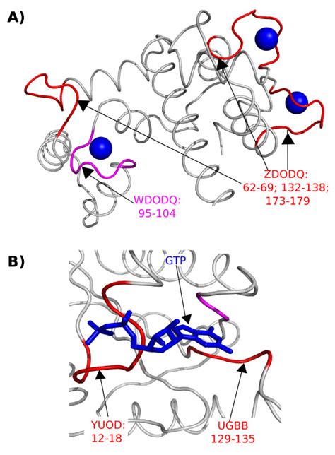 Protocol Used For Extraction Of Structural Motifs A The 27 Structural Download Scientific