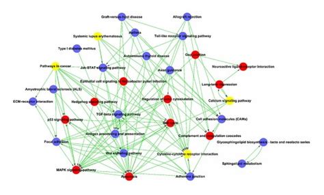 The Interaction Network Of Significant Pathways Path Net In Stem