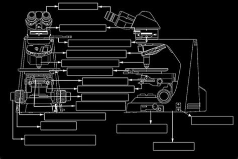EAS 232 Lab Final Flashcards Quizlet