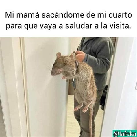Memes De Raton Raton Ben Que Quiero Ser Tu Amigo Que Rico Raton Me