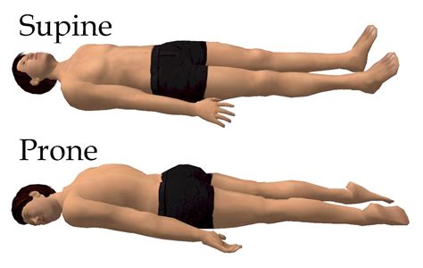 Prone Position Wikipedia