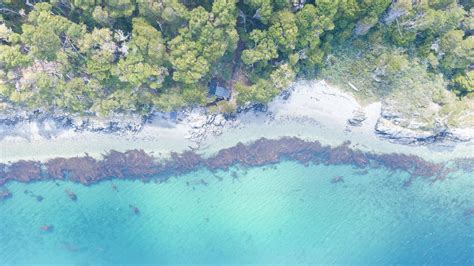 Venezuela Opositora Mar A Corina Machado Denunci Que Recibi Amenazas De Muerte Infobae