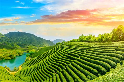 Collaborating For Value Chain Decarbonisation Embedding Project