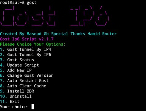 GitHub Masoudgb Gost Ip Gost Tunnel Script By Ip