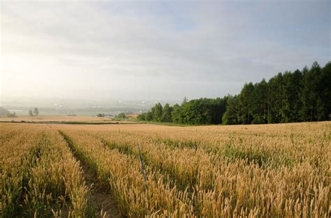 Ipython Parallel 使用與經驗分享，亮亮