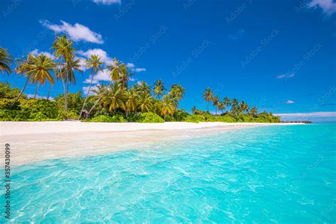 Tropical Island Paradise
