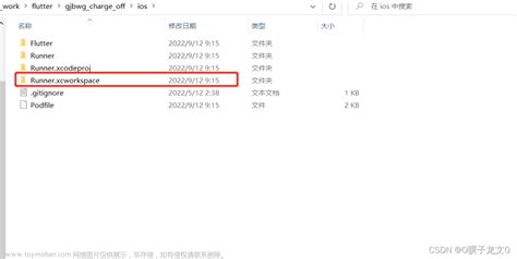 flutter打包ios toy模板网
