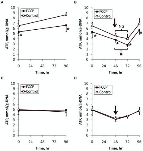 Glucose Utilization For Atp Production Effect Of Long Term A B And
