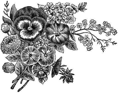 100 Black And White Flower Wallpapers