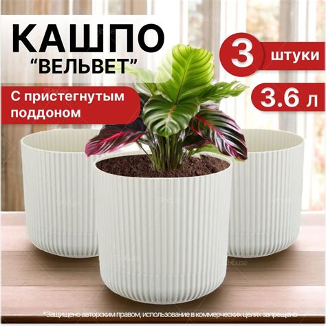 Горшок для цветов 3,6 л Вельвет 3 штуки белый ротанг / с пристегнутым ...
