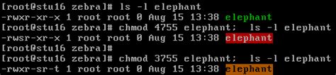 linux文件属性、权限详解 linux 文件属性 csdn博客