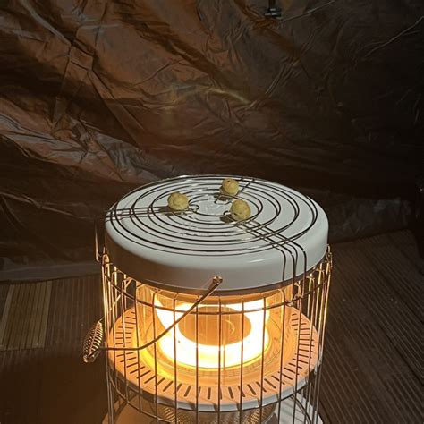 동계 캠핑 필수템 파세코 캠프10 프로 선셋 당근 구매 후 실사용 후기 사용법 네이버 블로그