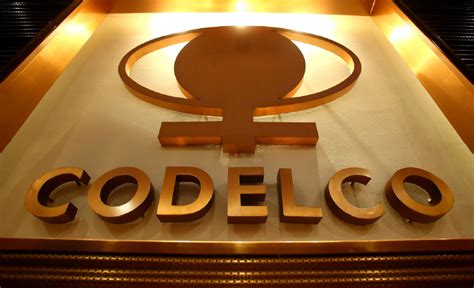 Presidente De La República Gabriel Boric Font Nombra A Tamara Agnic