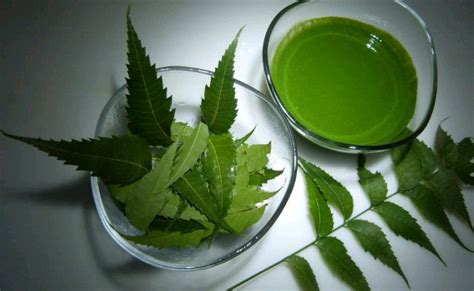 Is Neem Oil And Lim Juice Good For Ringworm Treatment Simply Healthy