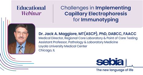 Challenges In Implementing Capillary Electrophoresis For Immunotyping Sebia Us