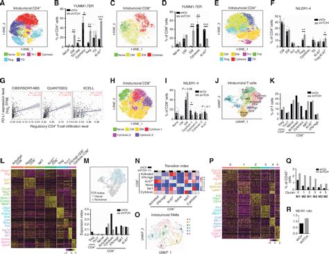 Figure From Enhancing PD L Degradation By ITCH During MAPK Inhibitor Therapy Suppresses
