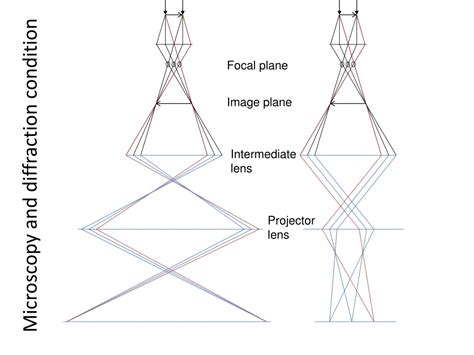 Ppt Exploring Electron Microscopy Theory And Practical Applications
