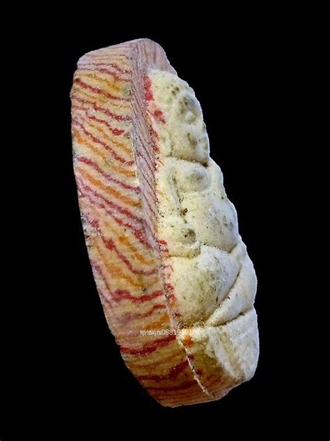 พระสังกัจายน์มหาลาภ พระอาจารย์สุริยันต์ วัดป่าวังน้ำเย็น มหาสารคาม Ennxo