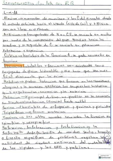 DOC WA Alejandra García uDocz