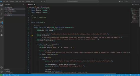 [video] sabarni das on linkedin internship codsoft javaprogramming