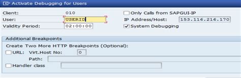 Sap Consulting And Expertise Sap Knowledge